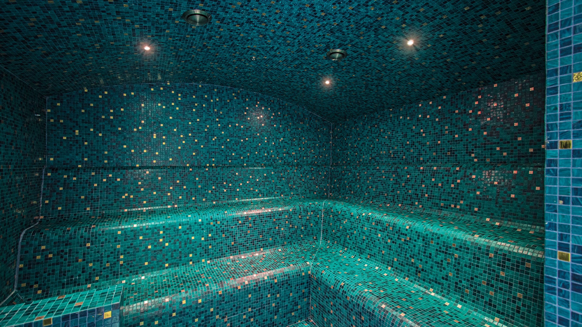 Stoom Sauna - BLUE Wellness